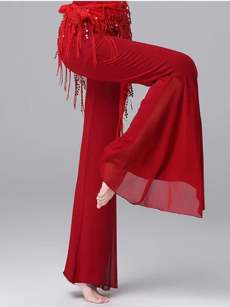 Solid-Color-Cabaret-Pants-Belly-Dance-Costume-Latin-Wear-Woman-Elegant ...