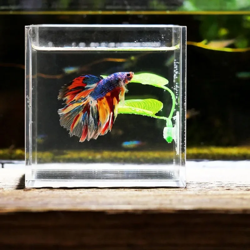 Betta-Fish-Rest-Aquarium-Leaf-Plants-Decoration-Spawning-Ornamental ...