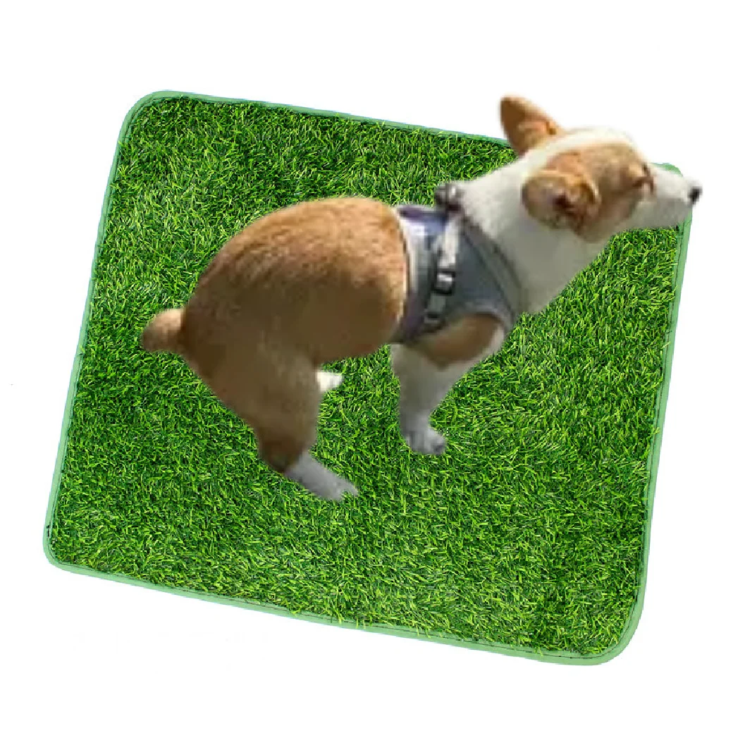 Washable Artificial Grass Dog Potty Trainer - Small to Large Size ...
