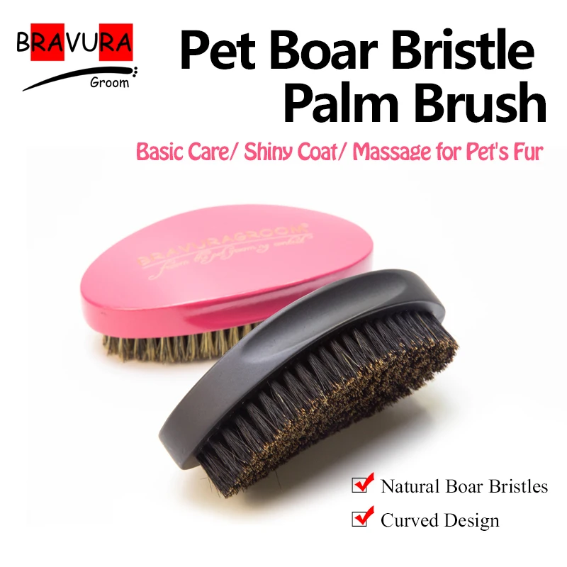 Pet-Boar-Bristle-Palm-Oval-Brush-Basic-Care-Clean-Shiny-Coat-and ...