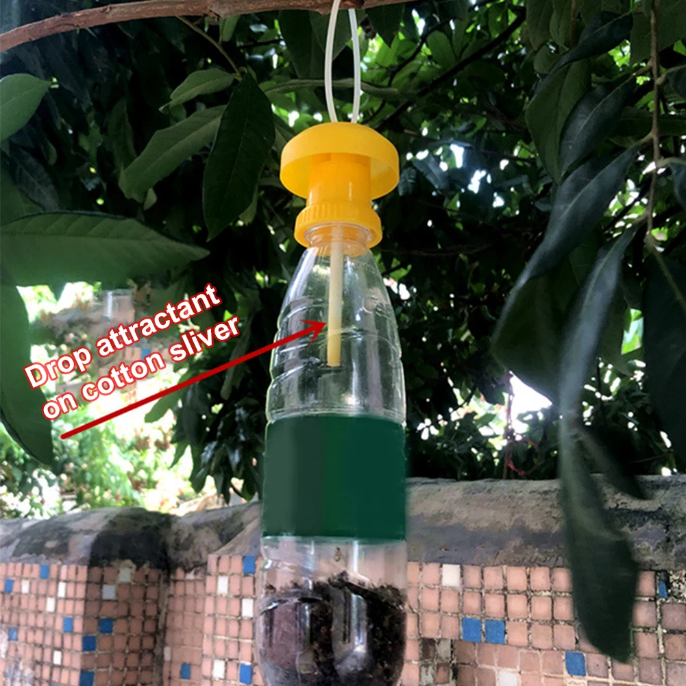 Fruit Fly Traps Reusable Plastic Bottle Top Trap Fly Catcher Pest ...