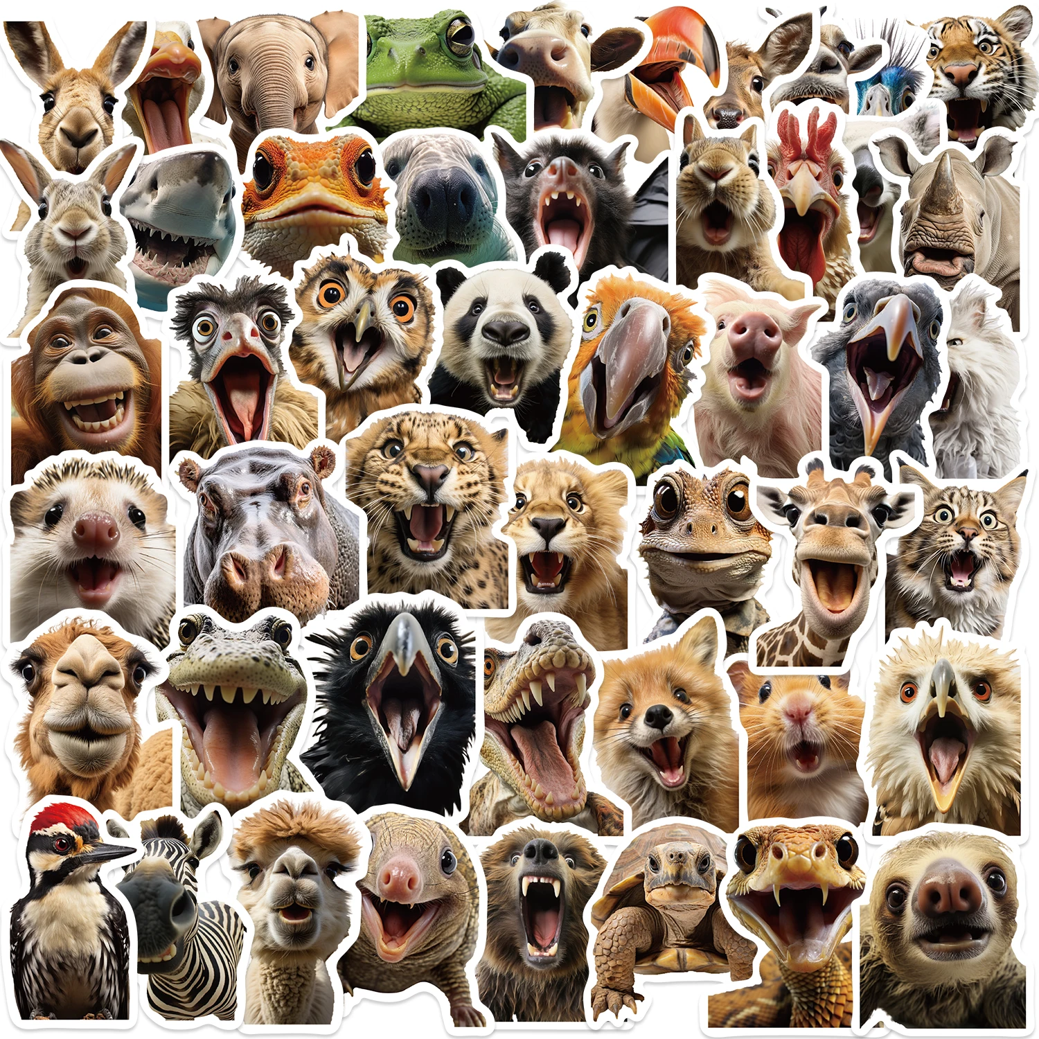 Kawaii-Engra-ado-Animal-Rosto-Adesivos-Decalques-DIY-Decora-o-de-Skate ...