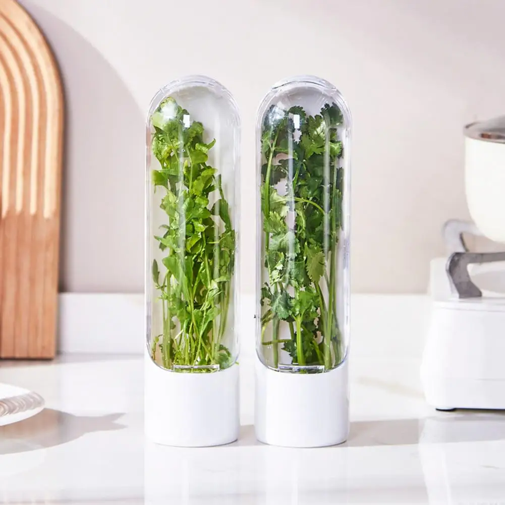 Durable-Cilantro-Storage-Solution-Cilantro-Storage-Box-for-Refrigerator ...
