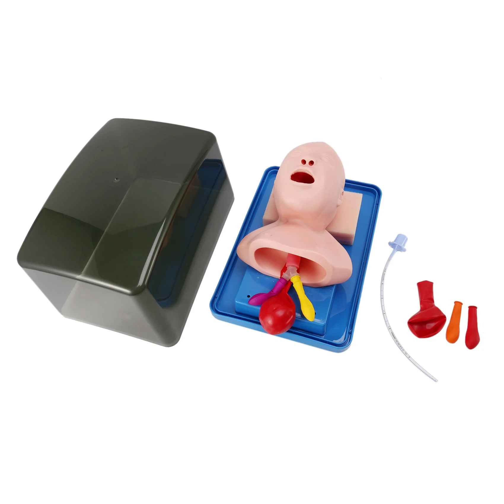 Neonatal Tracheal Intubation Model Analog Double Lung and Stomach ...