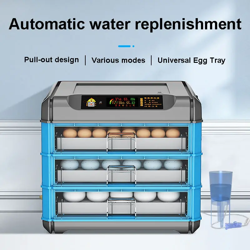 Egg Incubator Design And Assembly