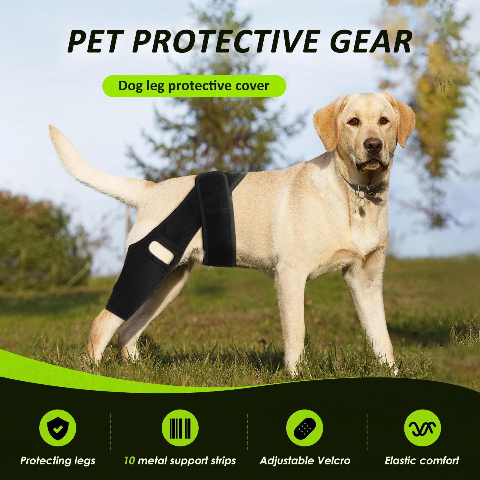 Pet-Knee-Brace-Adjustable-Comfortable-Dog-Leg-Hip-Brace-Support-Bar-for ...