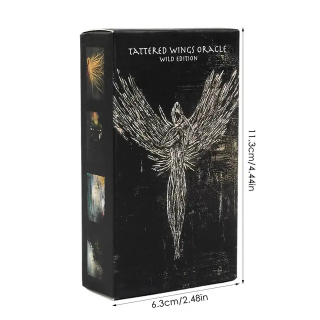 Tattered Wings Drawing