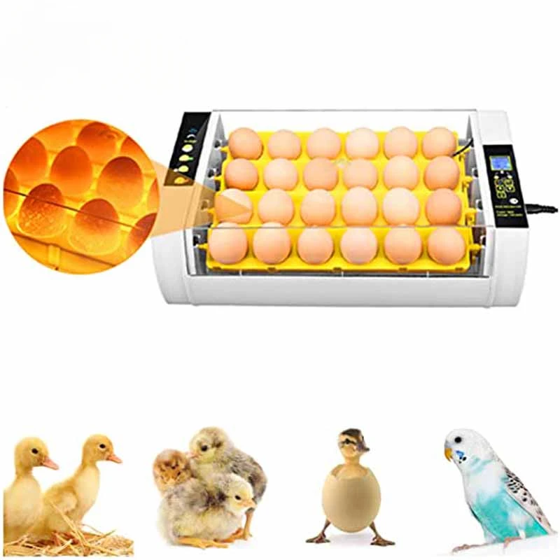For-HHD-Fully-Automatic-Incubator-Hatching-24-Eggs-Brooder-High ...