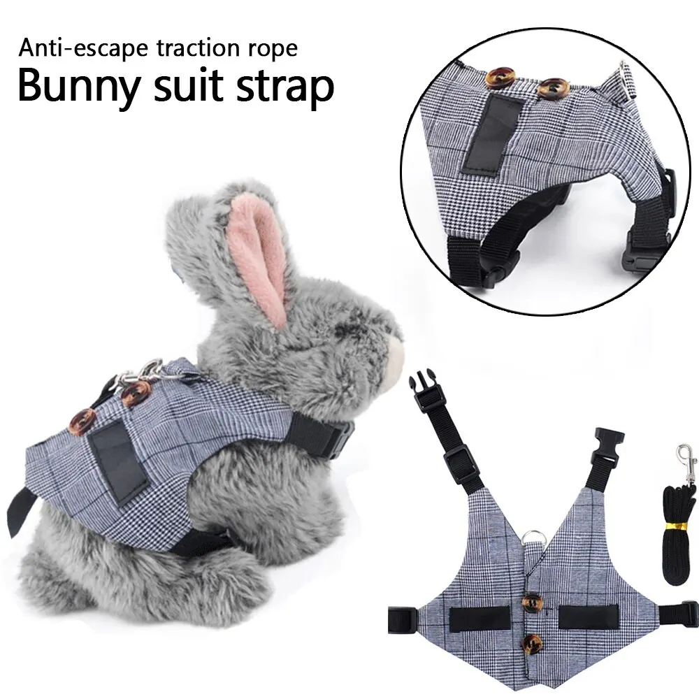 Cute-Rabbit-Harness-and-Leash-Set-Outdoor-Walking-Pet-Harnesses-for ...