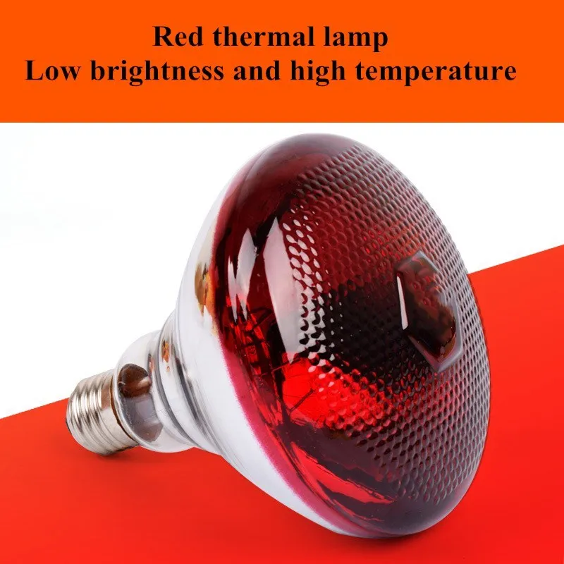 Farm-Light-Thermal-Preservation-Pig-Chicken-E27-Thicken-High-Quality ...