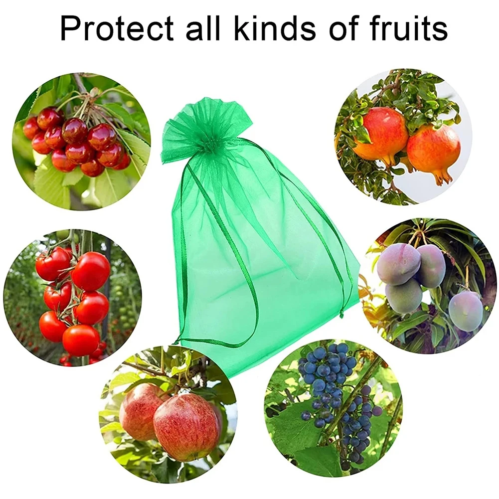 20PCS-Vegetable-and-Fruit-Protection-Bag-Pest-Control-Bird-proof-Mesh ...