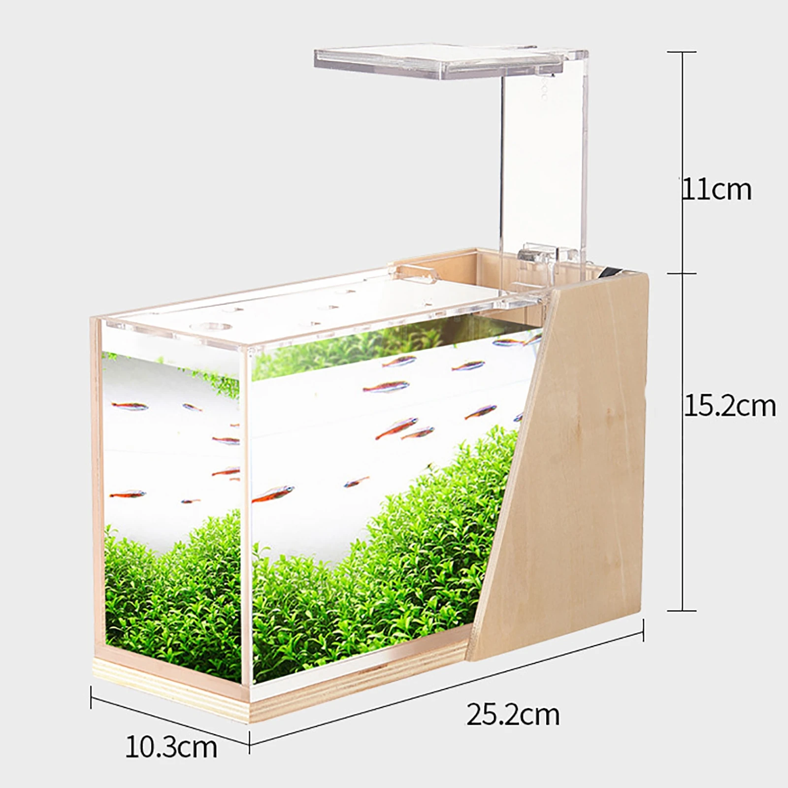 Creative Desktop Starter Fish Tank With Side Filter, Beautification ...