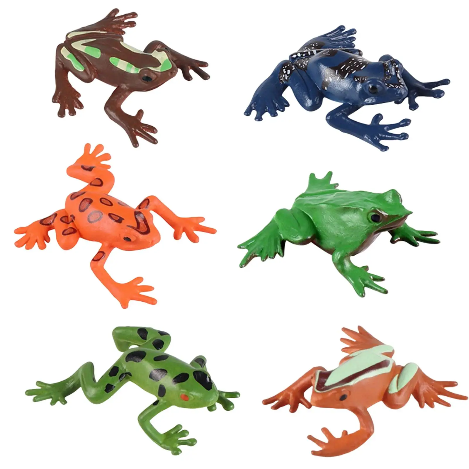 Tree Frogs Reptile Is