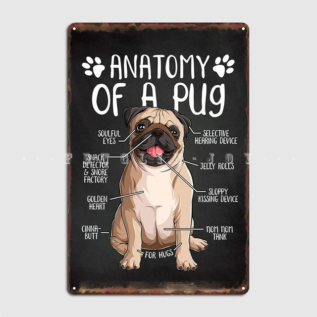 Anatomy Of A Pug