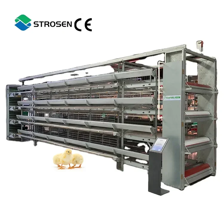 large-automatic-poultry-folding-chicken-cage-h-type-layer-chicken-cage.jpg