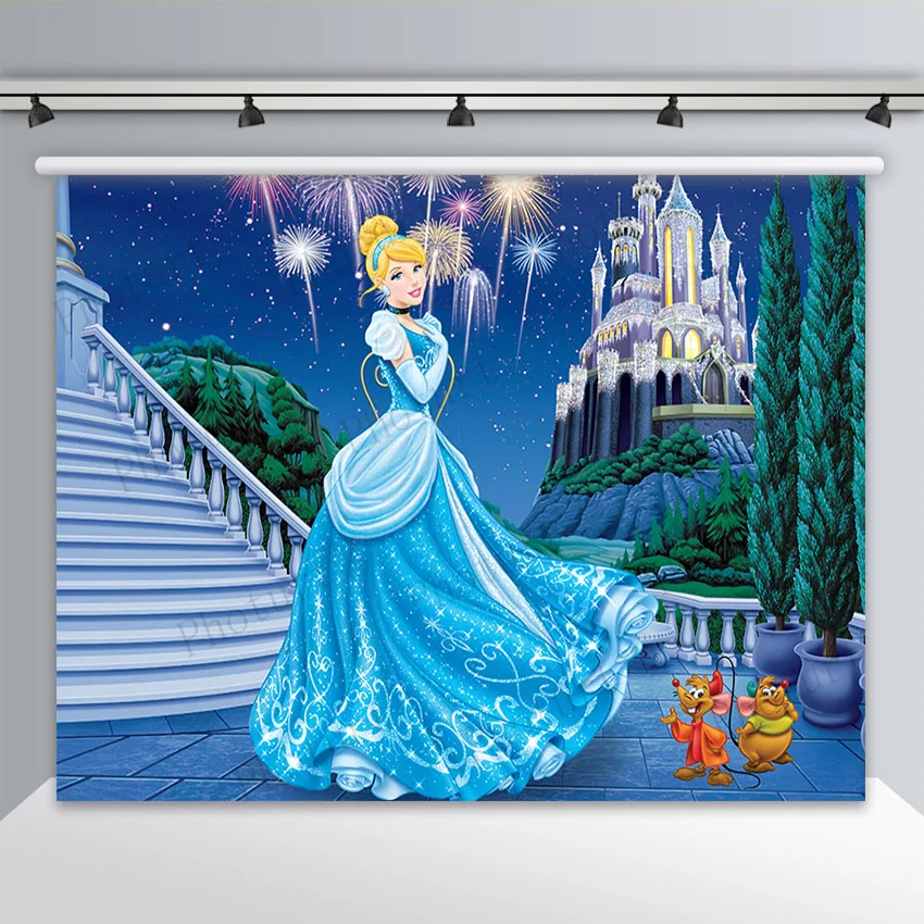 Princess Cinderella Disneyland