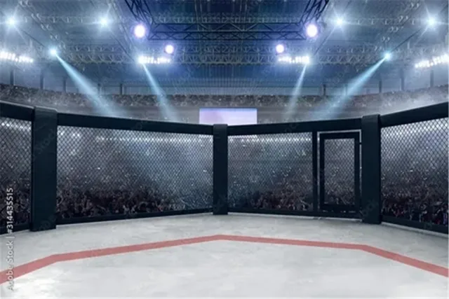 Fighting Arena Background