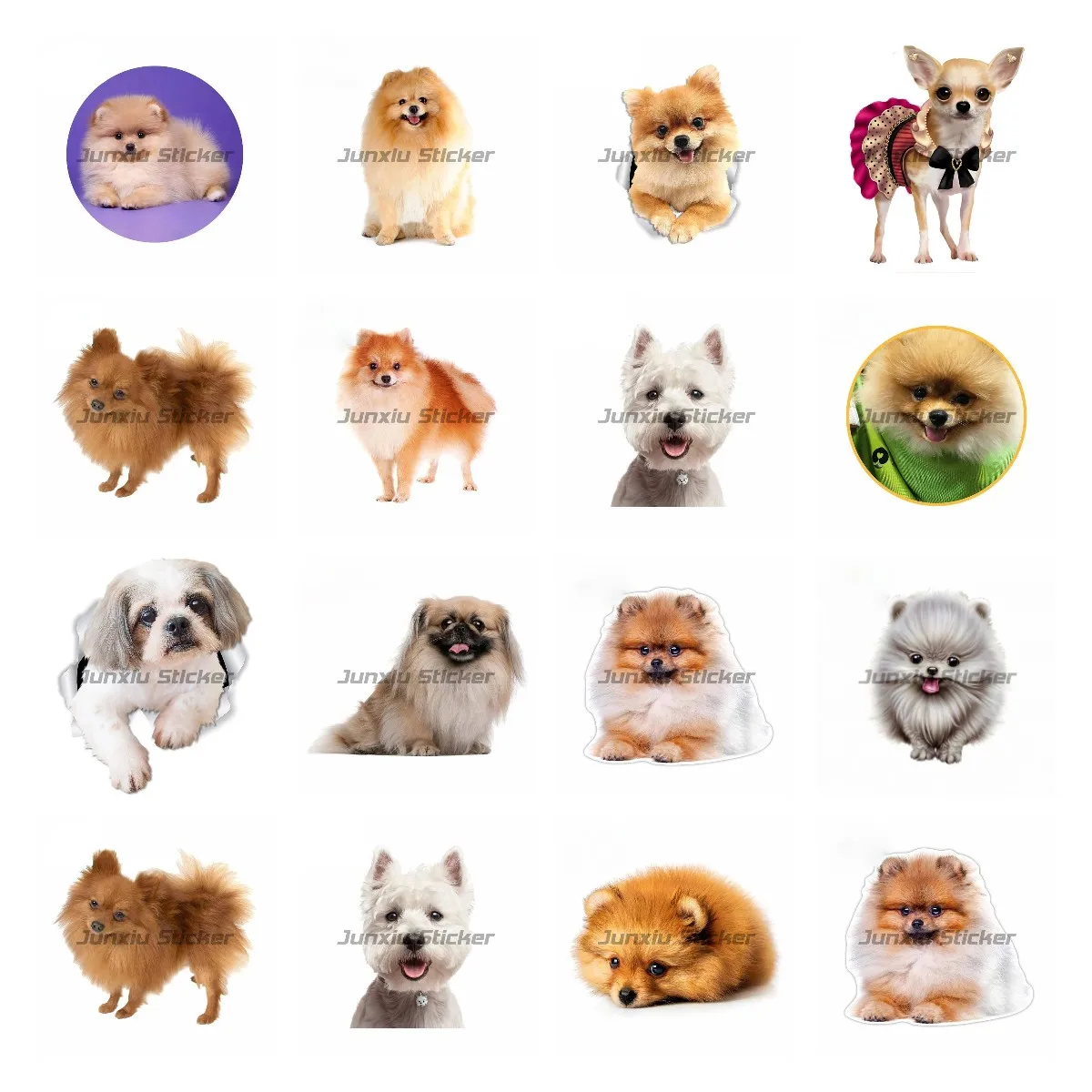 Beautiful Animal Pomeranian Dog Car-stickers Car Bumper Car Styling ...