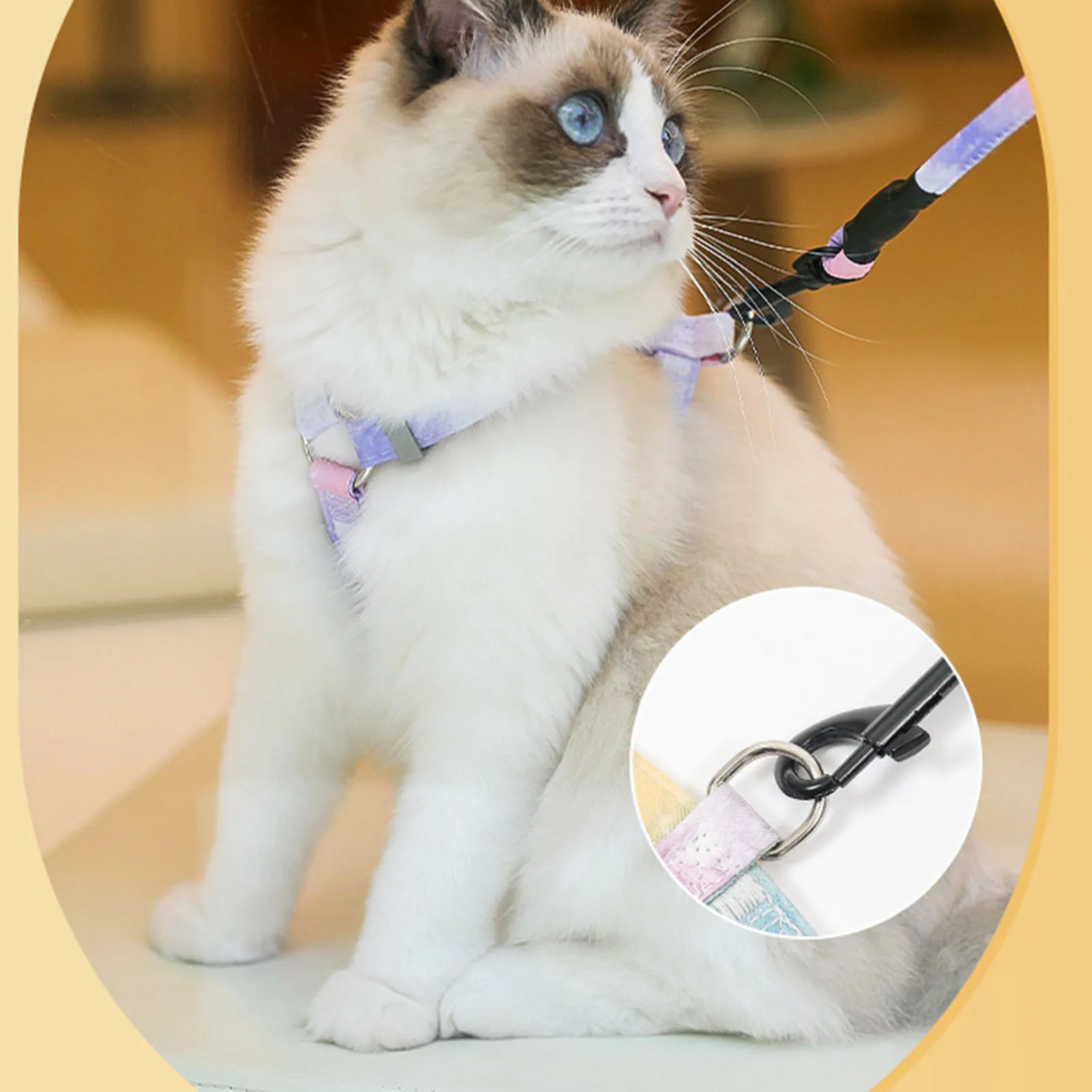 Cat-Harness-With-Leash-Set-Gradient-Color-Soft-Polyester-Anti-Slip-Buckle-Dog-Vest-Harness-For.jpg