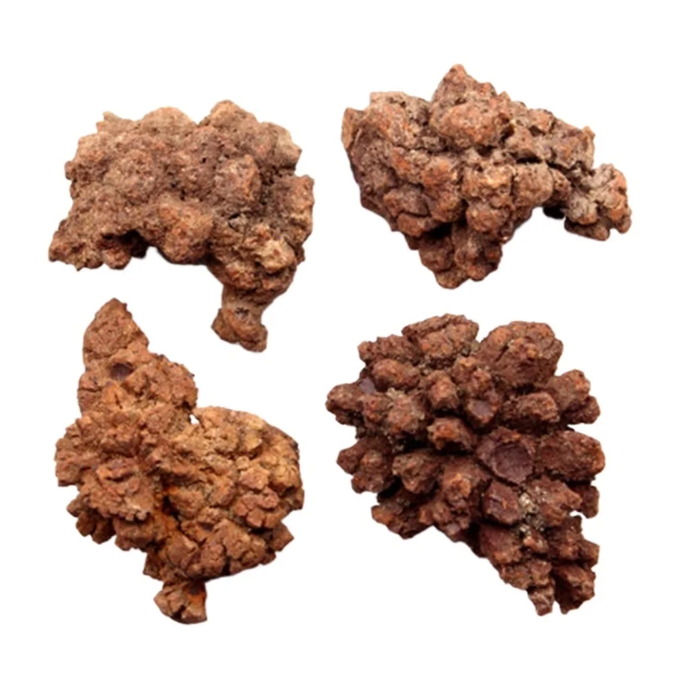 Natural-prehistoric-dinosaur-feces-fossil-specimen-original-stone-ore ...