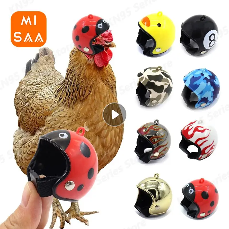 Funny-Chicken-Helmet-Small-Bird-Duck-Quail-Hard-Hat-Headgear-Prevent ...