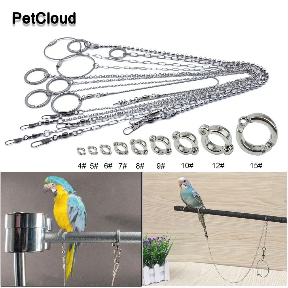 Stainless-Steel-Parrot-Chain-Bird-Foot-Ring-Stand-Chain-Parrot-Rope ...