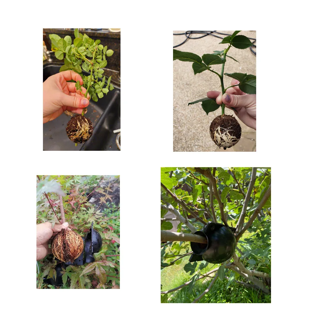 Diameter 50pcs 5cm 20pcs 8cm 10pcs 12cm Plant Rooting Ball Equipment ...