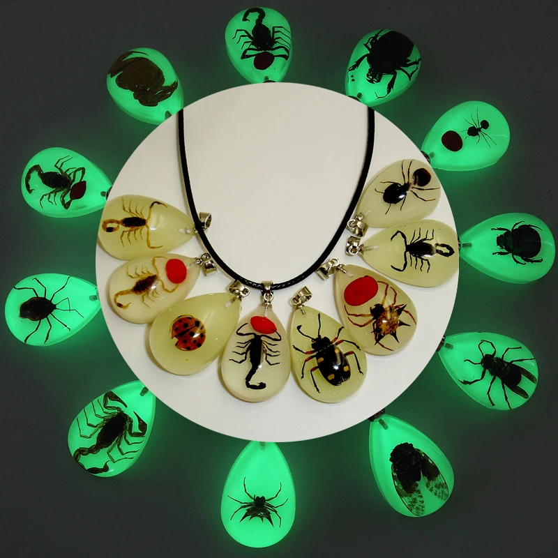 Luminous Real Scorpion Necklace Vintage Resin Insect Beetle Spider ...