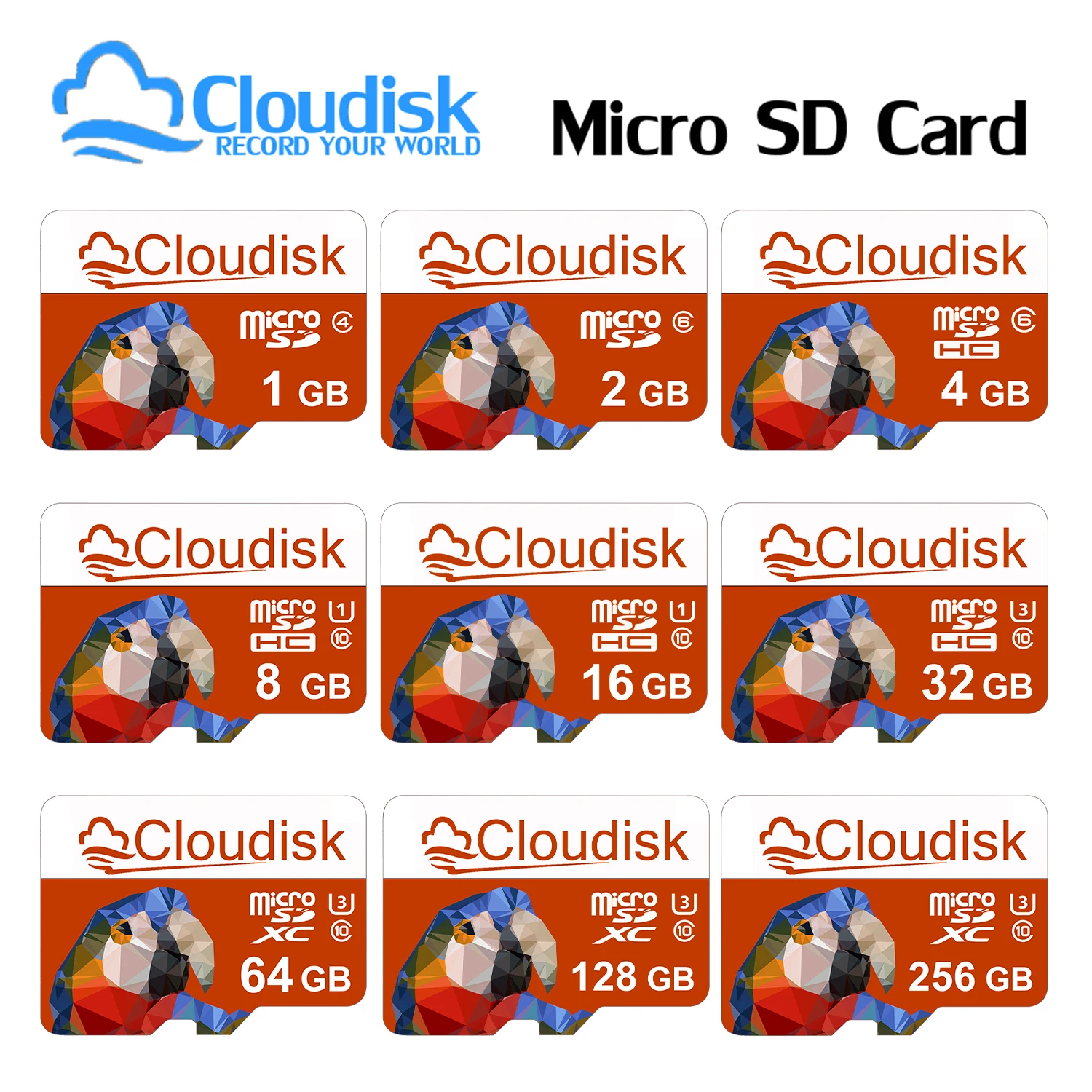 Cloudisk-MicroSD-1GB-2GB-4GB-8GB-16GB-32GB-64GB-128GB-C10-U3-U1-V30-A1-A2.jpg