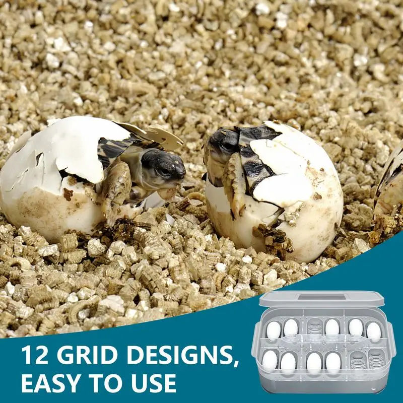 12-Grids-Hatch-Box-Snake-Lizard-Reptile-Egg-Tray-Boxes-Hatching-Eggs ...