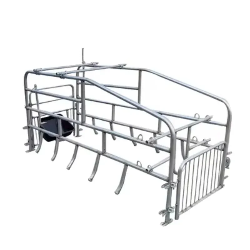 Animal Husbandry Equipment Single Sow Farrowing Crates 2.5mm Hot Dipped ...