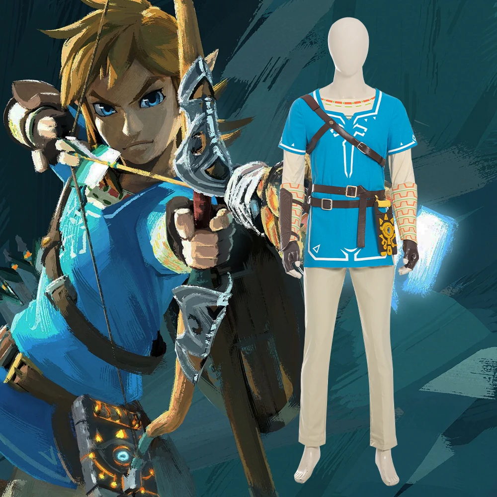 Link Costume Skyward Sword
