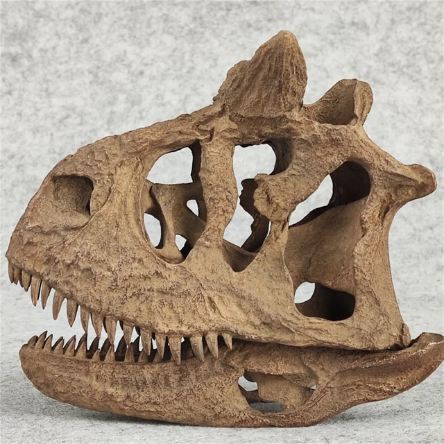 Cranio Di Carnotauro