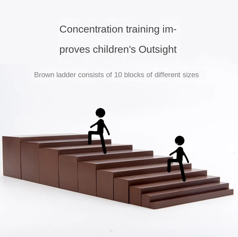 Montessori Inspired Ladder Training Aid - Haloro