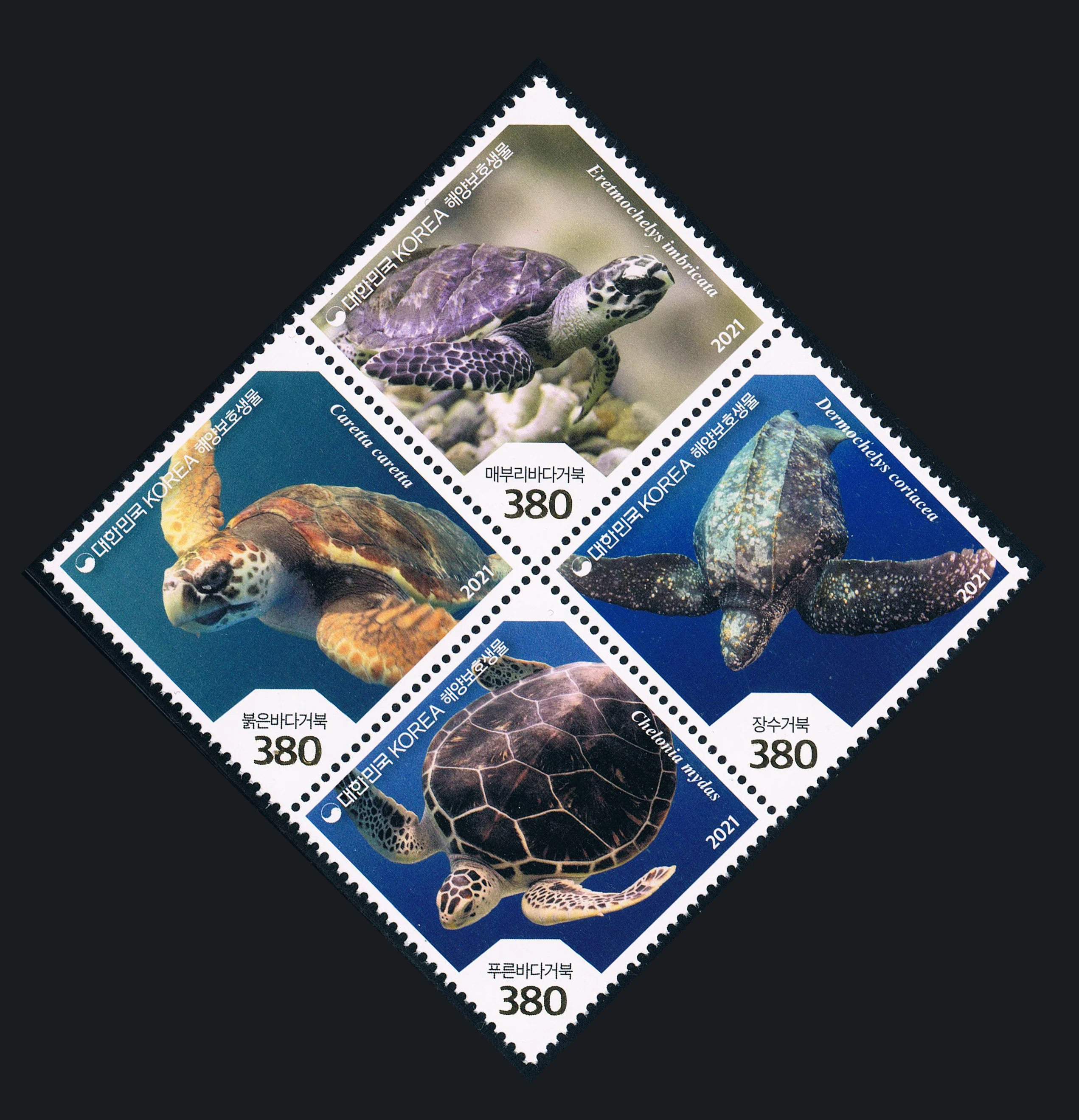 4-PCS-Korea-Post-Stamp-2021-Sea-Turtles-Sea-Life-Animal-Stamp-Real ...