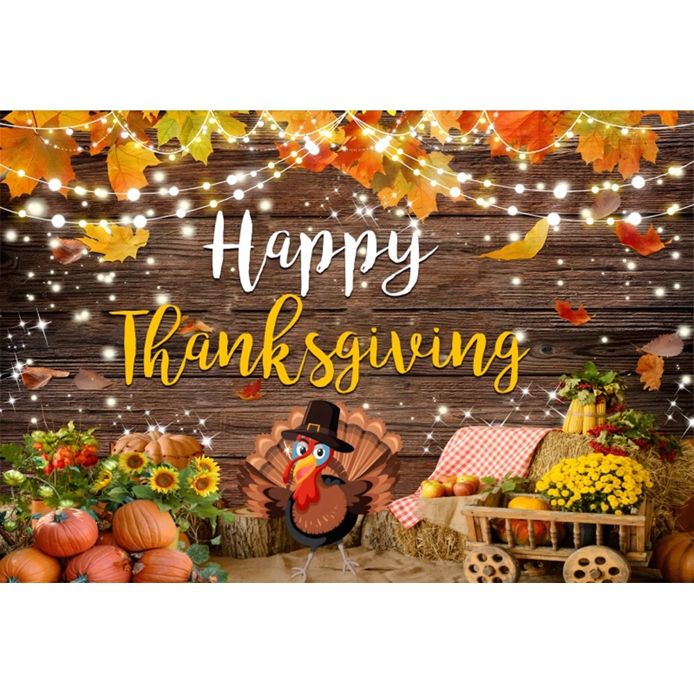 Thanksgiving Baby Photography