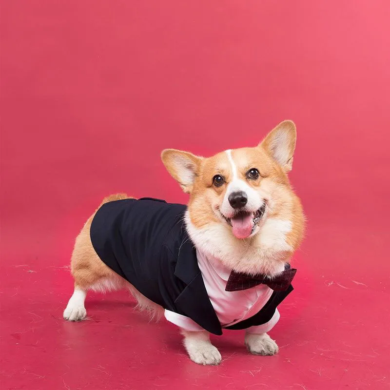 Corgi Wedding Dress