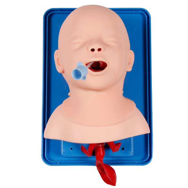 Neonatal Infant Tracheal Intubation Model Analog Double Lung and ...