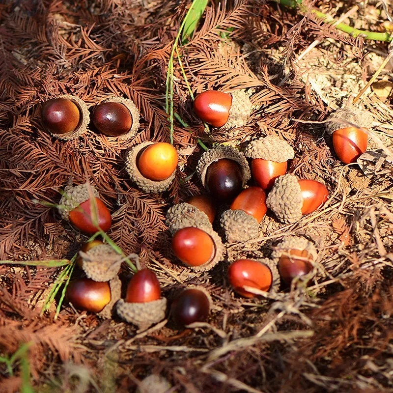 20-50pcs-Foam-Pine-Cones-Mini-Artificial-Acorn-Nuts-Reusable-Fake-Fruit ...