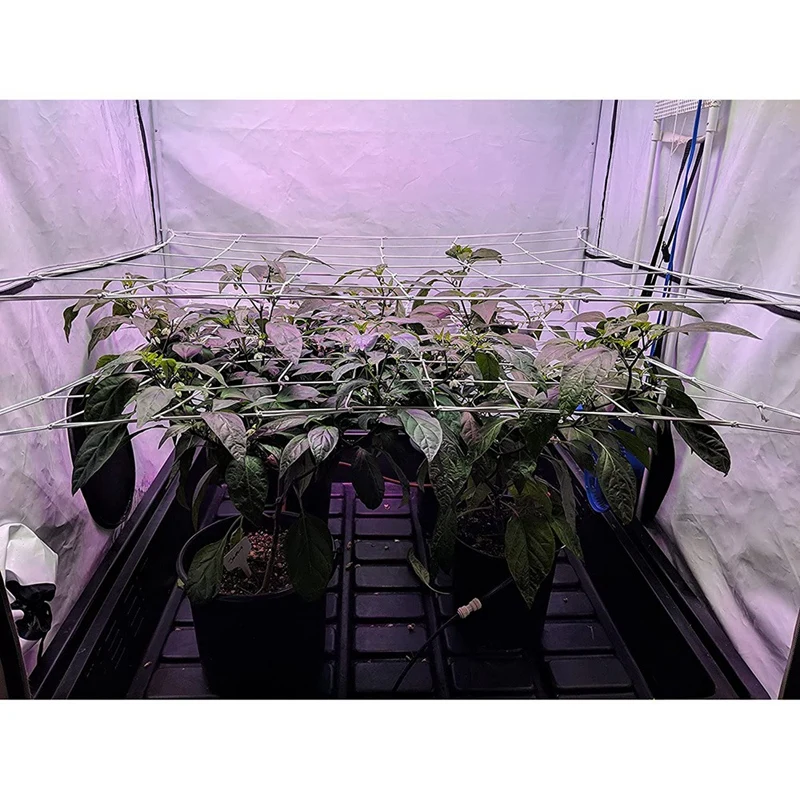 Flexible Grid Suitable For Plant Growth Tents Luggage Net Fixed Trellis ...