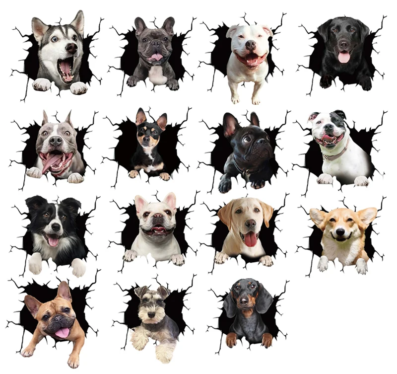 Black Labrador new car sticker - great giftiee