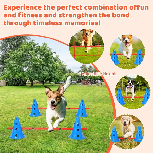 Dog Agility Structures