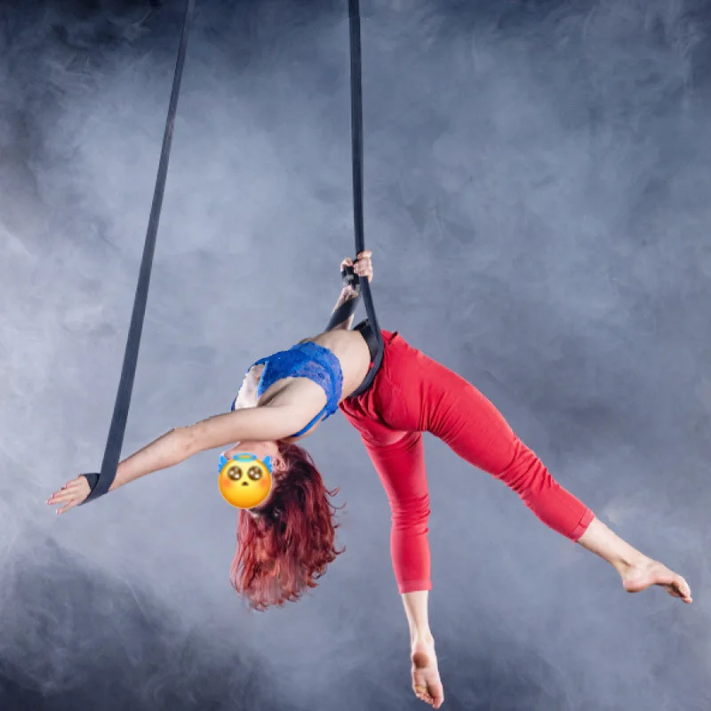 2M/2.5M/2.75M Aerial Straps Ropes Loops Aerial Acrobatics Body Loop ...