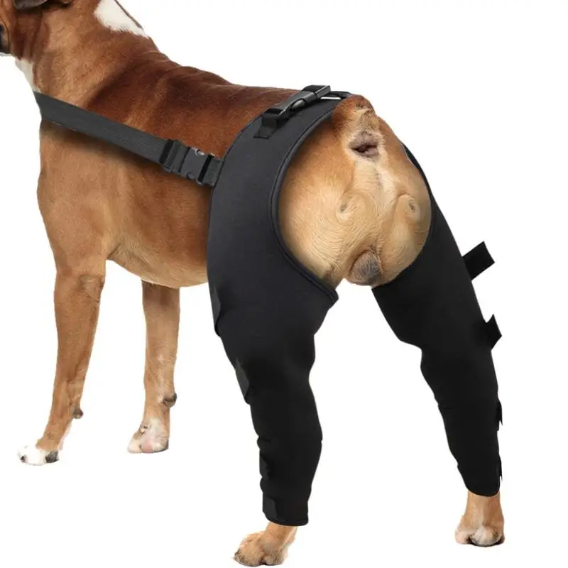 Dog-Hip-Brace-Adjustable-Pet-Dog-Legs-Protector-Supporter-Knee-Brace ...