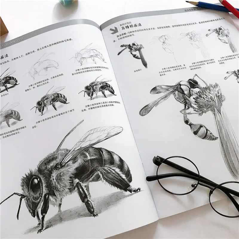 Pencil-Sketch-Basic-Coure-Books-Zero-Based-Tutorial-From-Beginner-To ...