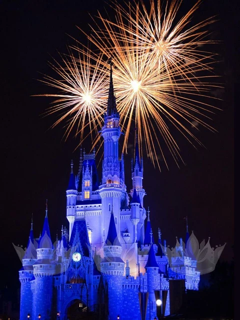 Disney Mickey Fireworks