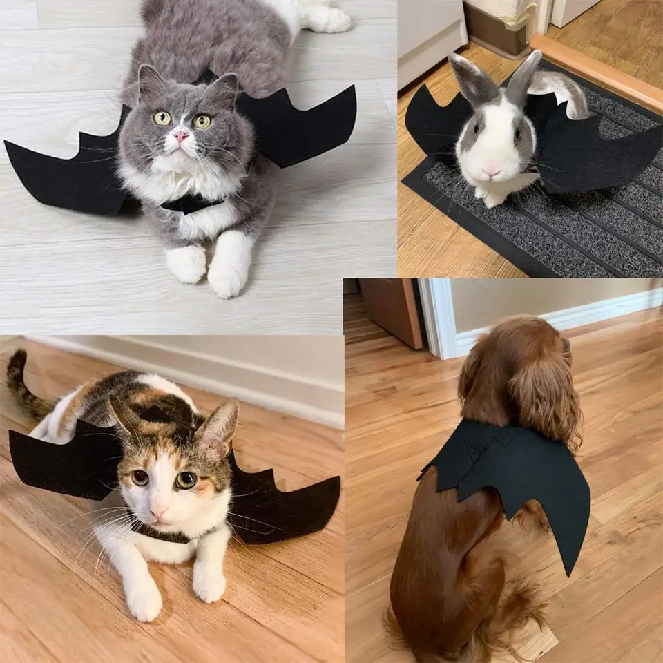 Cat Costume Bat Wings