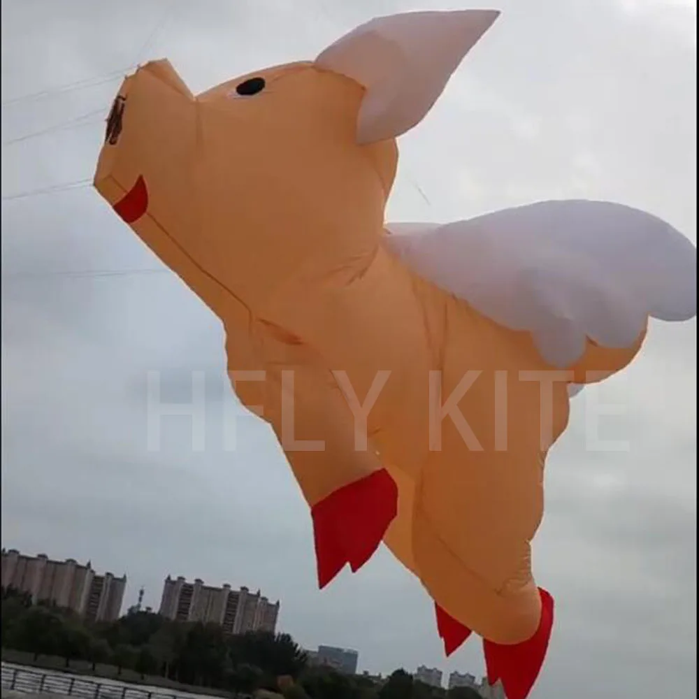 New-Arrival-Large-3m-Pig-Kite-Line-Laundry-for-Adults-High-Quality-3D ...