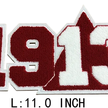 11 Inch Since 1913 Chenille Patches,Delta Sigma Theta Sorority Iron-On ...