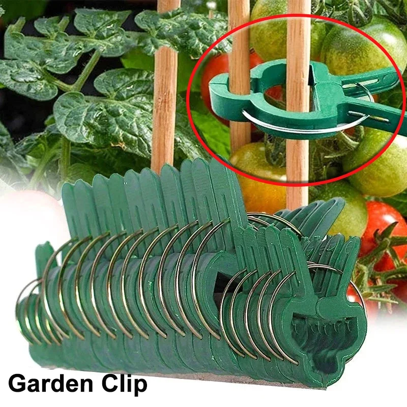 20PCS Reusable Green Garden Plant Fixed Clips for Greenhous Vegetables ...
